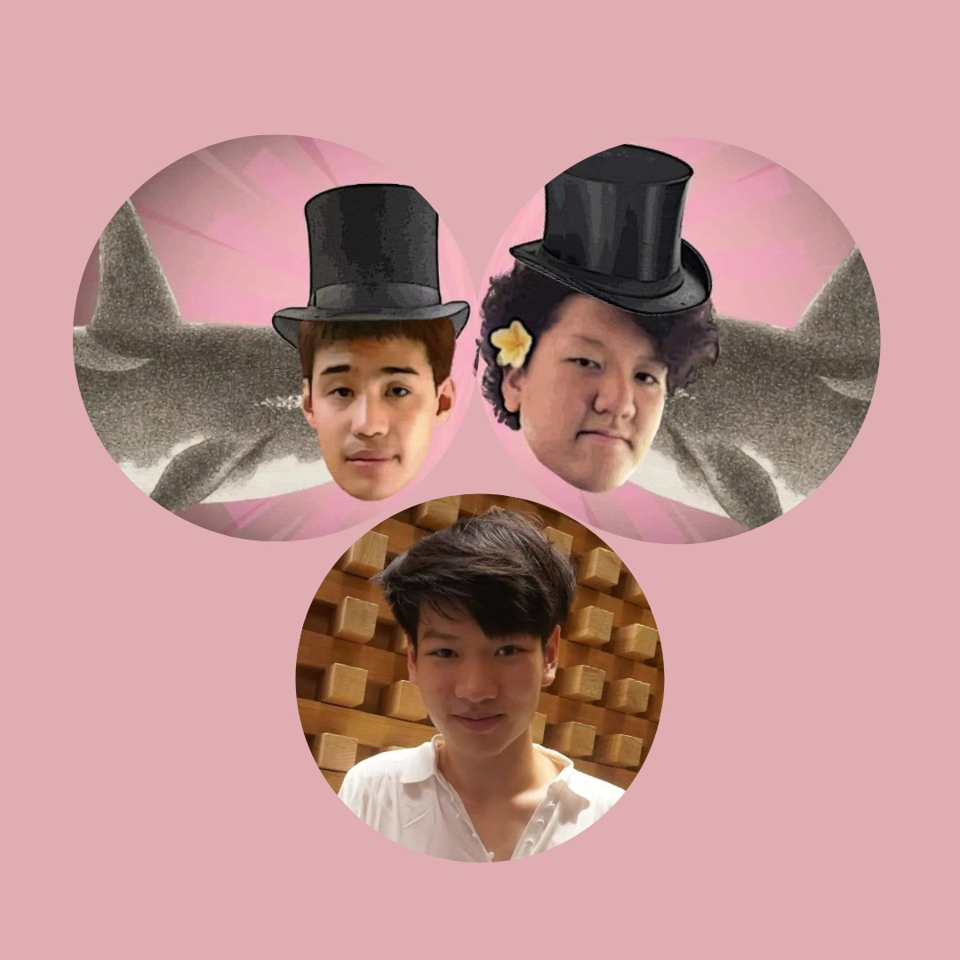 Remixing Harmony | PGVIS